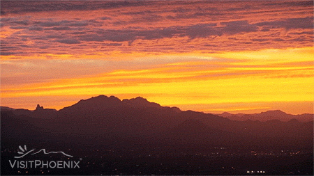Visit Phoenix GIF - Find & Share on GIPHY