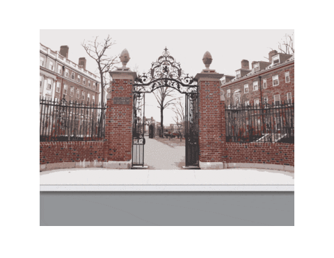 The Harvard Crimson GIFs on GIPHY - Be Animated