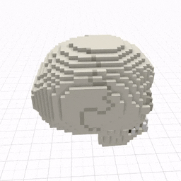 Human Skull GIFs - Get the best GIF on GIPHY