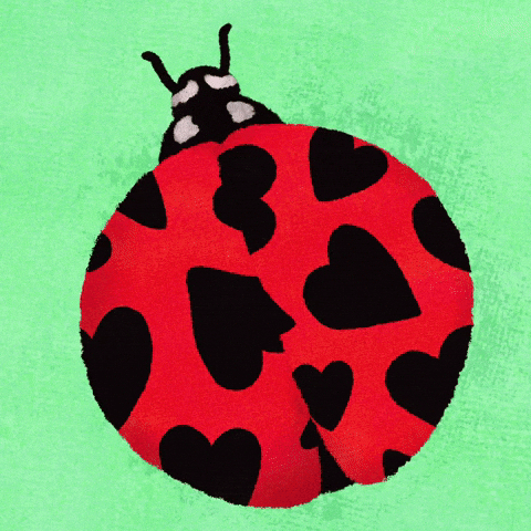 Ladybug-on-hand GIFs - Get the best GIF on GIPHY