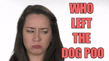 Bad Dog GIFs - Find & Share on GIPHY