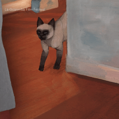 Siamese-cat GIFs - Get the best GIF on GIPHY