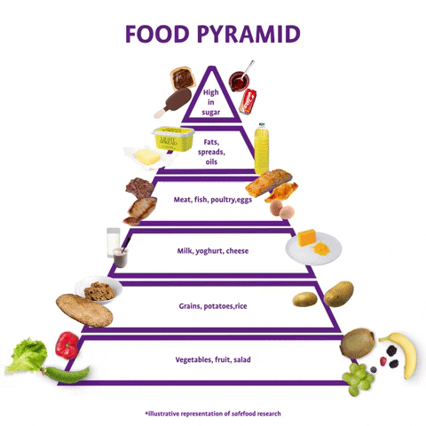 Food Pyramid GIFs - Find & Share on GIPHY