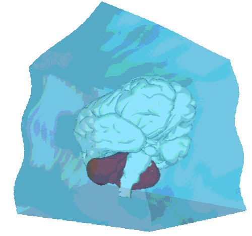 Cold Brain Freeze Sticker by badblueprints for iOS & Android | GIPHY