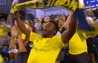Crazy Soccer Fan Gif Soccer Fans GIFs Find & Share On GIPHY