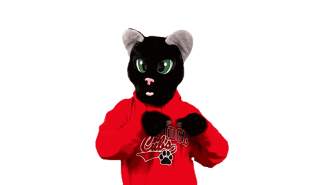 Mascots GIFs on GIPHY - Be Animated