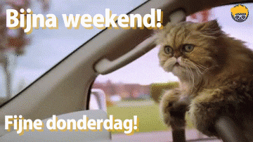 Almost Weekend GIFs - Get the best GIF on GIPHY