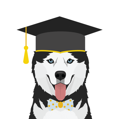 Dog Graduation Sticker by Michigan Tech for iOS & Android | GIPHY