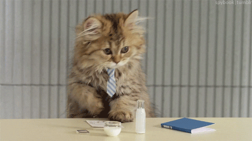 Administrative Professionals Day GIFs - Get the best GIF on GIPHY