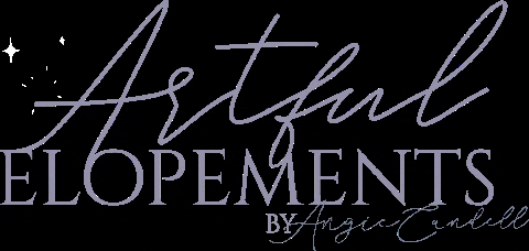 Eloping GIFs - Get the best GIF on GIPHY