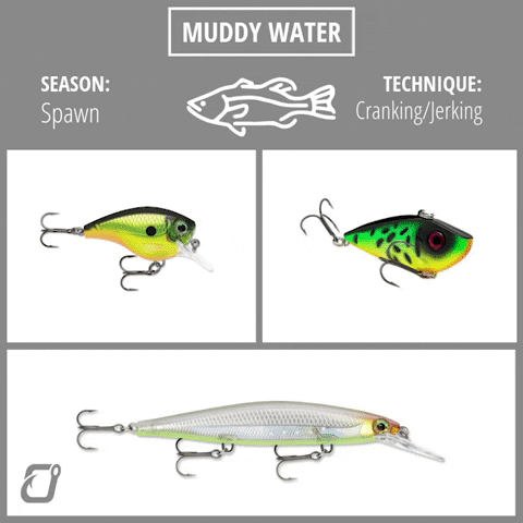 Muddy-waters GIFs - Get the best GIF on GIPHY