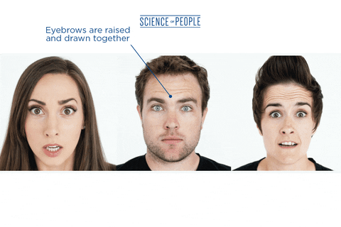 Scared Facial Expression GIF by Vanessa Van Edwards - Find & Share on GIPHY