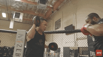 11 GIFs to Get You Ready for UFC 252! by Sports GIFs | GIPHY