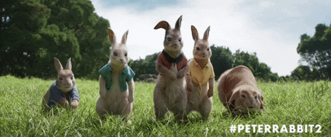 GIF by Peter Rabbit Movie - Find & Share on GIPHY
