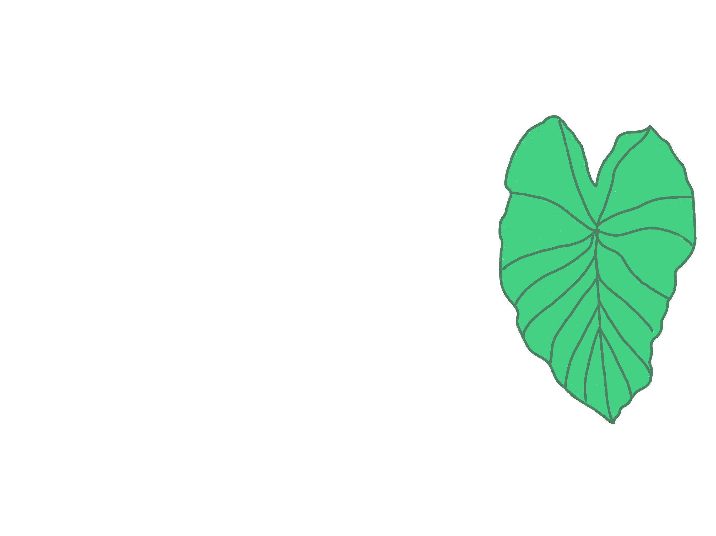 Hawaii Taro Sticker by Design Jord for iOS & Android | GIPHY