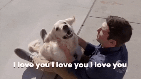 I Love Dogs GIFs - Find & Share on GIPHY
