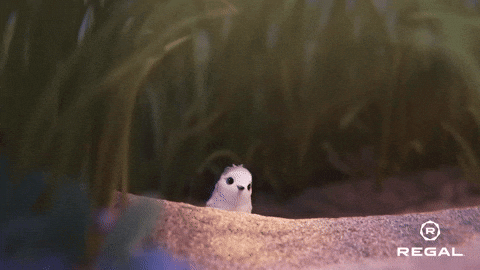 Piper-pixar GIFs - Get the best GIF on GIPHY