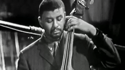 Upright Bass GIFs - Get the best GIF on GIPHY