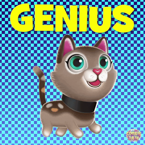 Genius-kitten GIFs - Get the best GIF on GIPHY