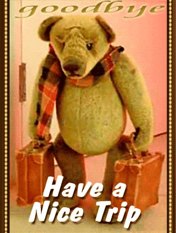 Safe Travels Gif