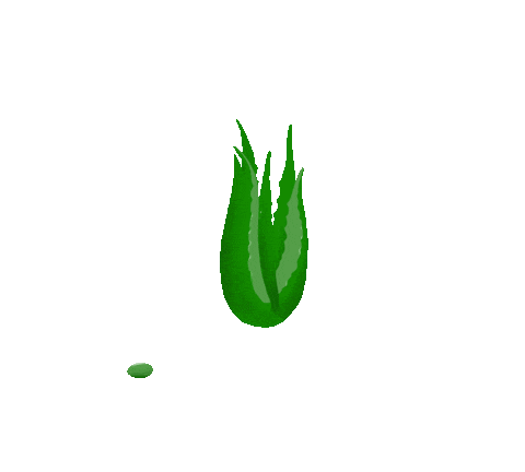 Aloe Vera Dance Sticker by Unilever Indonesia for iOS & Android | GIPHY