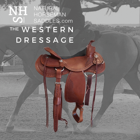 Western-dressage GIFs - Get the best GIF on GIPHY