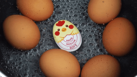 Boiling Egg GIFs - Find & Share on GIPHY