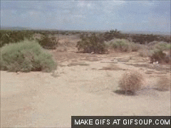 Bola Api GIFs - Find & Share on GIPHY