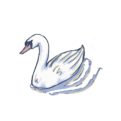 Swan Lake Illustration Sticker for iOS & Android | GIPHY