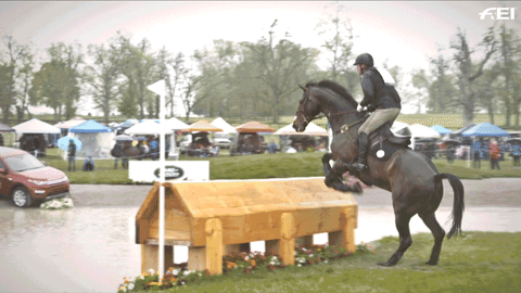 Jump Kiss GIF by FEI Global - Find & Share on GIPHY