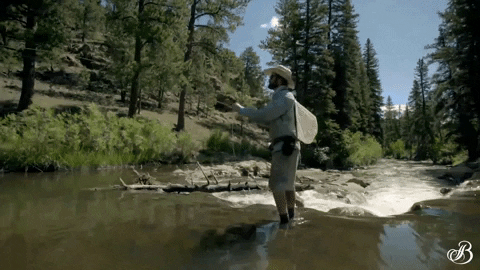 Flying-to-colorado GIFs - Get the best GIF on GIPHY