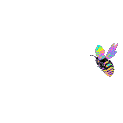 Bees Gif Tumblr