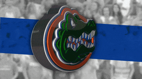 GIF by Florida Gators - Find & Share on GIPHY