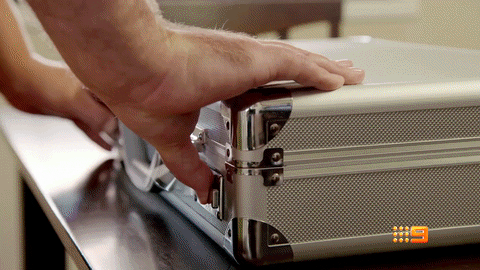 - Find & Share on GIPHY