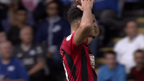 Football Soccer GIF by AFC Bournemouth - Find & Share on GIPHY