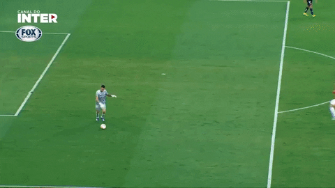 Libertadores Da America Colorado GIF by Sport Club Internacional - Find ...