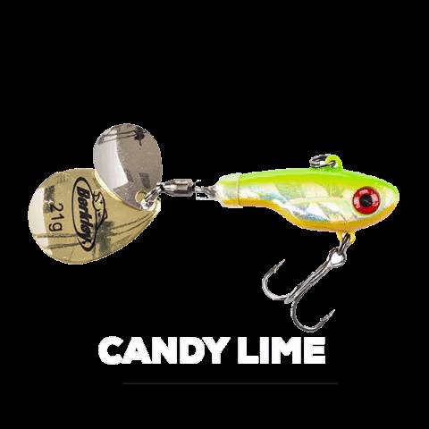 Catch More Fish GIF - Find & Share on GIPHY