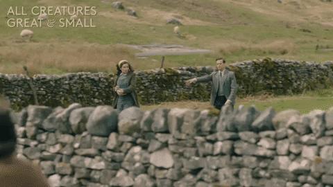 Muck-about GIFs - Get the best GIF on GIPHY