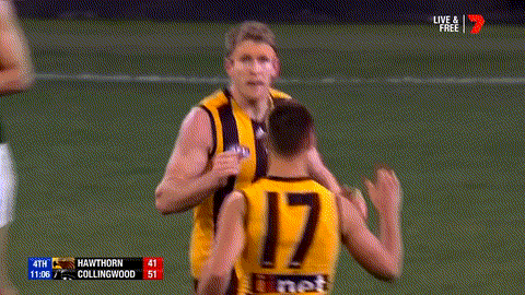 Aussie Rules Reaction GIF by AFL - Find & Share on GIPHY