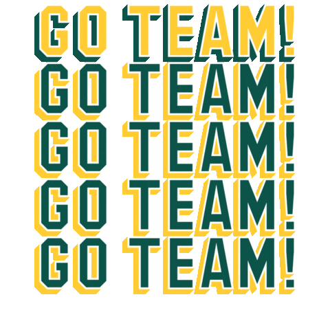Go Team Go Cheer