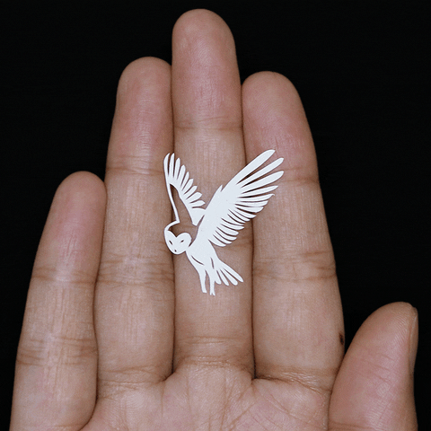 Owl Fly GIFs - Get the best GIF on GIPHY