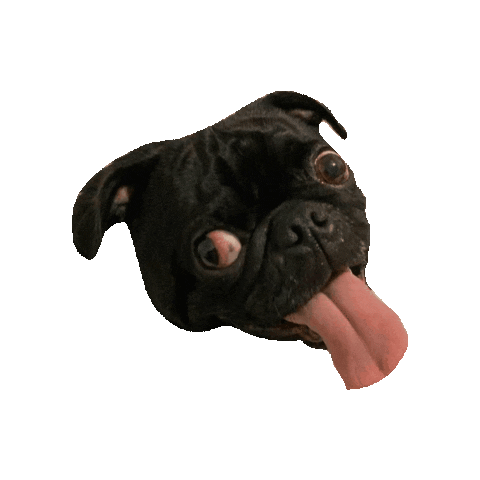 Dog Lick Sticker for iOS & Android | GIPHY