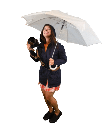 Wat een plaatje GIFs on GIPHY - Be Animated