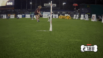 ESPN Dog Day by American Kennel Club | GIPHY