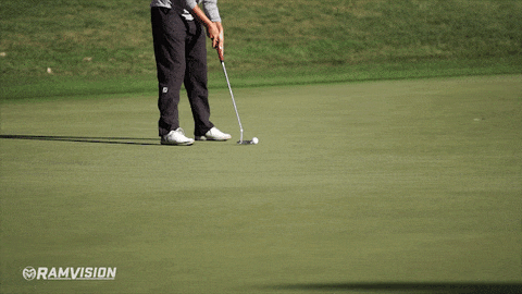 Csurams Proudtobe GIF by Colorado State Rams - Find & Share on GIPHY