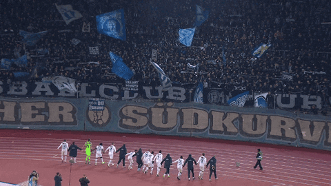 Zurich Celebrate GIF by FC Zürich - Find & Share on GIPHY