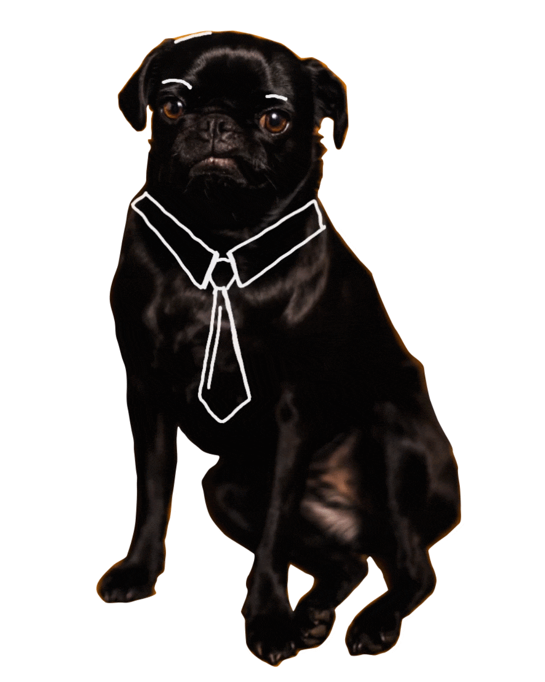 Animation Pug Sticker by Jon Joiner for iOS & Android | GIPHY