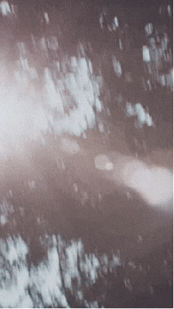 Livving Life GIFs - Get the best GIF on GIPHY