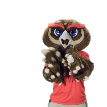 Fau Owlsley Sticker by Florida Atlantic University for iOS & Android ...
