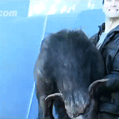 New Watermark GIFs - Get the best GIF on GIPHY